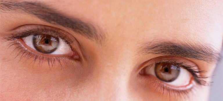 servant – Thy Mind, O Human