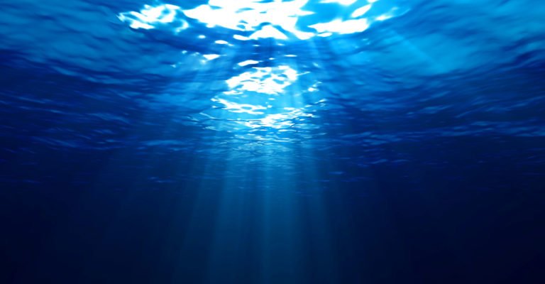 Uncategorized Thy Mind O Human